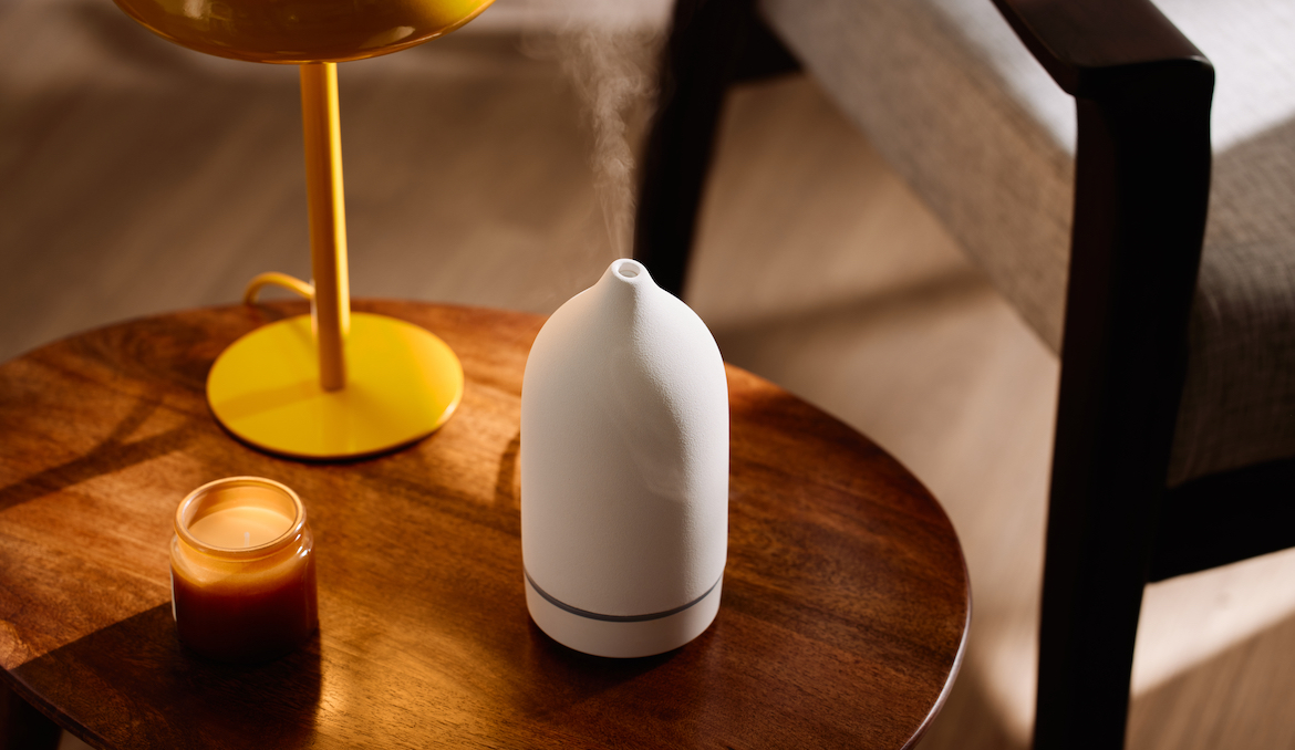 10 Best Home Fragrance Diffusers in 2024 – P-HealthX