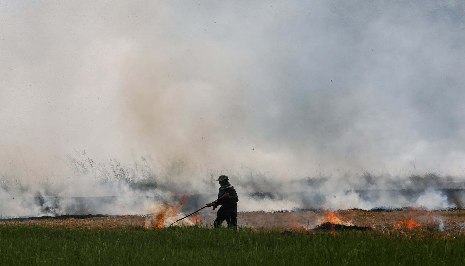 When is it safe to burn fields? In Thailand, farmers can turn to a new ...