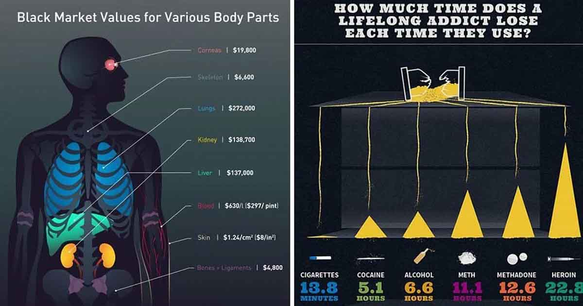 Organ Trafficking: How Much Are Your Insides Worth On The Black Market ...